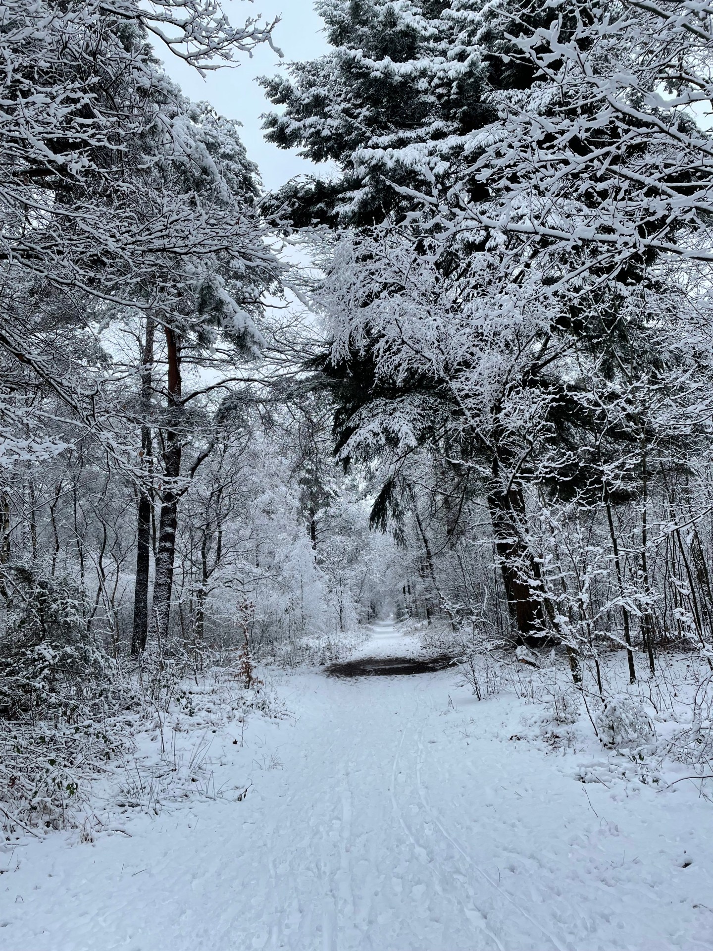 Walter Benjamin over vertalen – mystiek & filosofie
